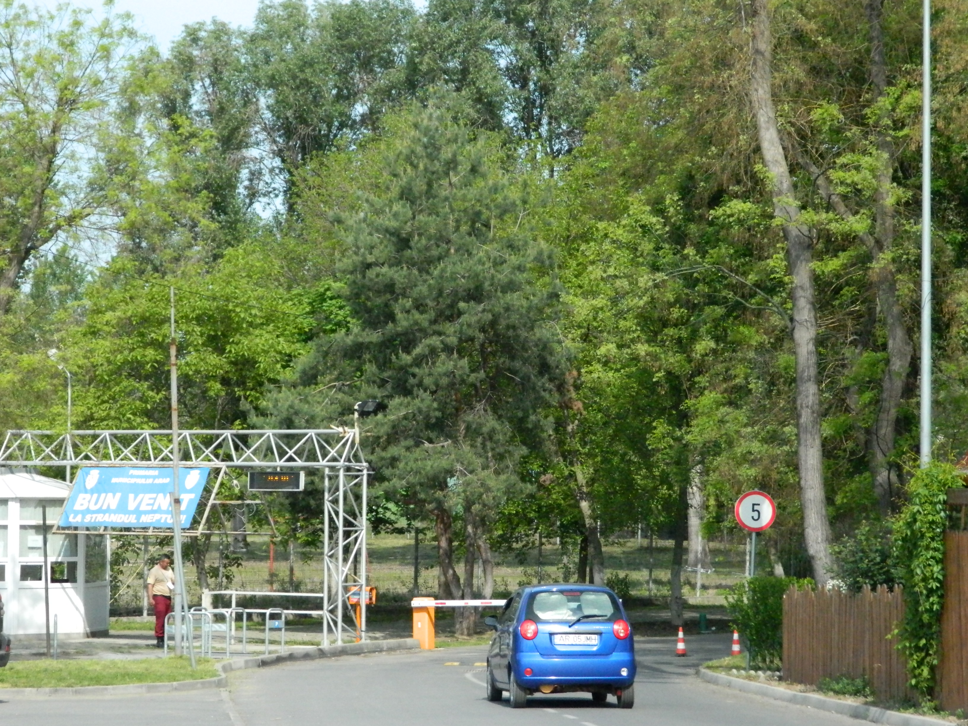 „Keep Summer On” – food&fun, la Ștrandul „Neptun“ din Arad - NewsAr.ro