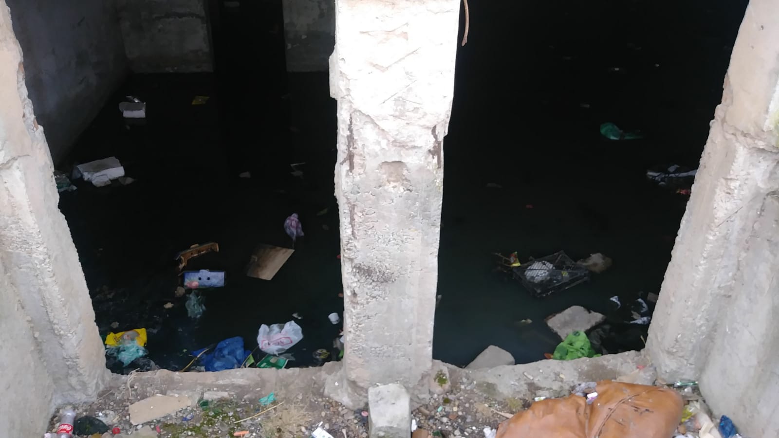 O fostă cantină din Arad a devenit un PERICOL pentru cetățeni (GALERIE ...