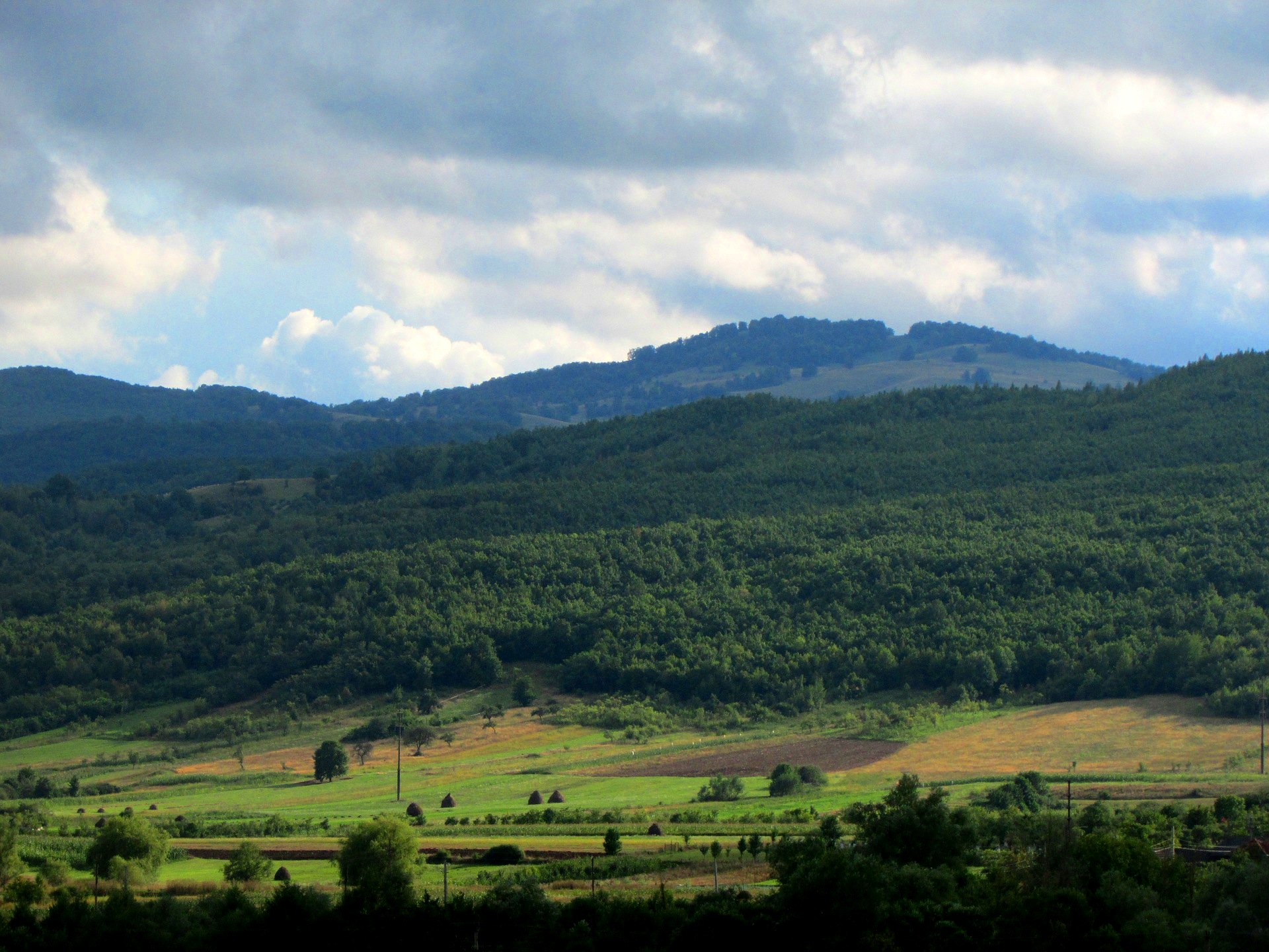 Arădenii, ÎNDEMNAȚI să „pună pe hartă” MUNȚII CODRU MOMA! Ce trebuie să ...